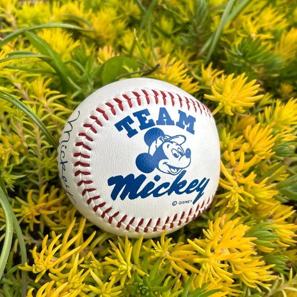 Disney | Games | Team Mickey Mouse Base Balldisney | Poshmark